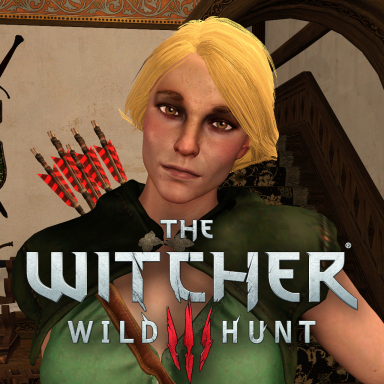 Looks - Milva The Witcher 3 | Virt-A-Mate Hub
